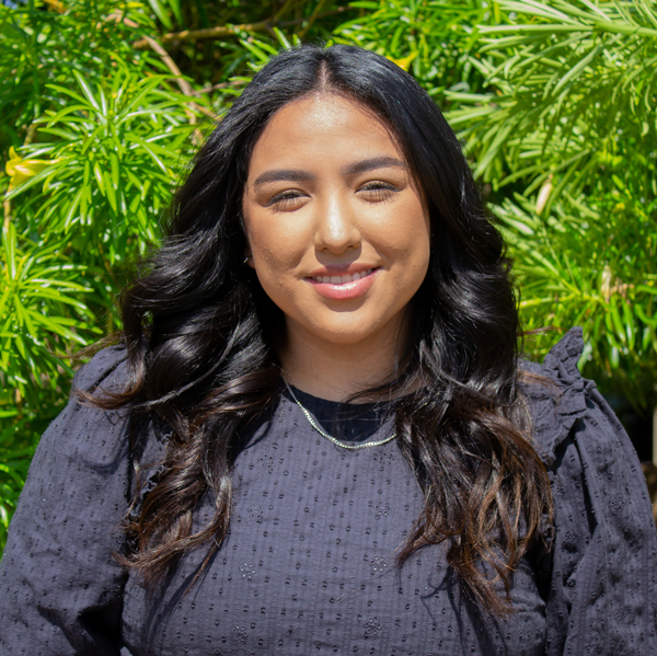 Meet the team – Sapphire Media LLC